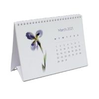 China Custom Printing 2021A5 Desk Top Schedule Note Monthly Beauty Stand Calendar for sale