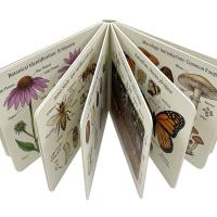 China Custom Printing of Children's Hardcover Books for sale