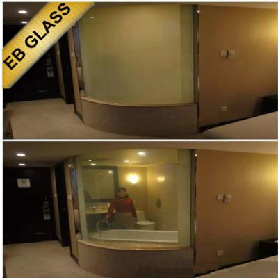 China China smart tint/EB GLASS BRAND for sale
