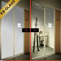 China SMART TINT/ EB GLASS BRAND for sale