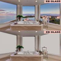 China Smart Tint Blinds USA EB GLASS for sale
