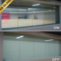 China door with smart glass EBGLASS for sale