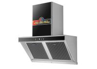 China Modern High-end Range Hood, Oil Fume Separation And Purification, Oil Electric Separation, With Quiet Operation VX11 for sale