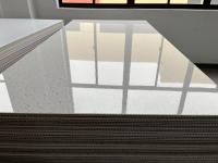 China PVC Wall Panels The Ultimate Combination of Durability and Decorative Options for sale