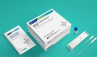 China High Accuracy Nasal Swab Antigen Bright Saliva  Test Kit for sale