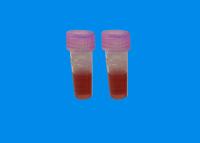China Virus Disposable Sampling Swab Vtm Kit With Flocked Nylon Head for sale