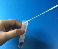 China Molded Breakpoint Flocked Throat Swab And Nasopharyngeal Swab DNA Testing for sale
