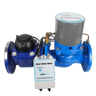 China Smart Woltman Water Meter Lorawan Programmable Water Meter Brands for sale