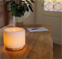 China 280ml Bamboo and Ceramic Ultrasonic Electronic Diffuser for Natural Aroma Experience for sale