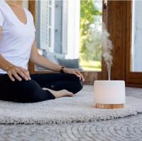 China 280ml Bamboo and Ceramic Ultrasonic Electronic Diffuser for Natural Aroma Experience for sale