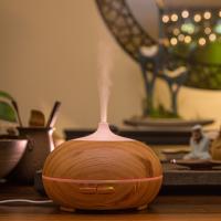 China Private Mold 25V 500ml Dr Scent Essential Oil Aroma Diffuser for Spa Home Office Hotel for sale