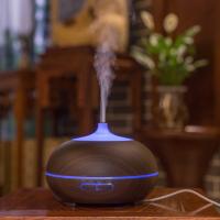 China Private Mold 25V 500ml Dr Scent Essential Oil Aroma Diffuser for Spa Home Office Hotel for sale