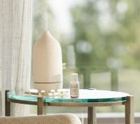 China 2021 Best Seller 100ml Ultrasonic Stone Ceramic Aroma Diffuser with Timing Function for sale