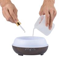 China Essential Art Design Dimming Car Aroma Diffuser with 24V Voltage and Capacity ＞200ml for sale
