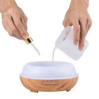 China Essential Art Design Dimming Car Aroma Diffuser with 24V Voltage and Capacity ＞200ml for sale