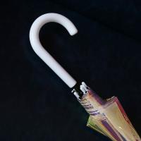 China Adults Iridescent Color Changing Umbrella with Special Design and Glitter Reflective for sale