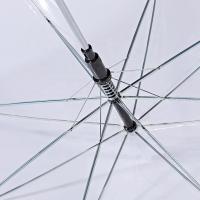 China Steel Shaft Advertising Transparent POE Full Body Dome Umbrella with Print Logo Auto Open for sale