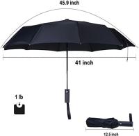 China 10 Ribs Auto Open Close Collapsible Folding Travel Umbrella for Rain Protection for sale
