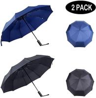 China 10 Ribs Auto Open Close Collapsible Folding Travel Umbrella for Rain Protection for sale