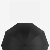 China Business Occasions Our Long Handle Umbrella Set with Double Umbrellas is Perfect for sale