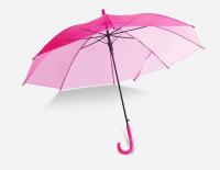 China 23inch 8K Paris Transparent Clear Umbrella for Raining Transparent Plastic J Handle for sale