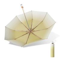 China Metal Shaft Frame Custom Gradient Shade Umbrella Popular for Women All in 1 Function for sale