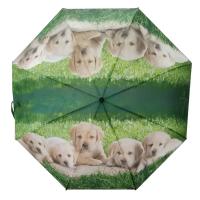 China DIY Custom Design Dragonfly Animal Pattern Three-folding Umbrella with Black Coating for sale