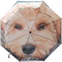 China DIY Custom Design Dragonfly Animal Pattern Three-folding Umbrella with Black Coating for sale