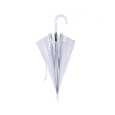 China Windproof Waterproof Auto Open Clear Bubble Umbrella with Cute Design Style and Ribs for sale