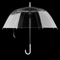 China Windproof Waterproof Auto Open Clear Bubble Umbrella with Cute Design Style and Ribs for sale