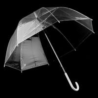 China Windproof Waterproof Auto Open Clear Bubble Umbrella with Cute Design Style and Ribs for sale
