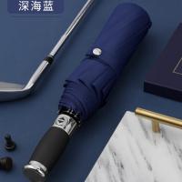 China Classic Design Chinese Automatic Open Paraguas Straight Umbrella with Fiberglass Shaft for sale