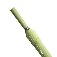 China Customized Designs Logo Printing Automatic Umbrella for Business Advertising Gift for sale