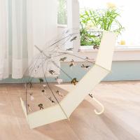 China Transparent Umbrella with Long Handle and Straight Pole Can Print Advertising Logo for sale