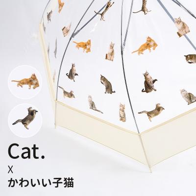 China Creative Cat Dog Pattern Straight Umbrella 23 Inches*8k 8 Bone Automatic Fiber Bone for sale