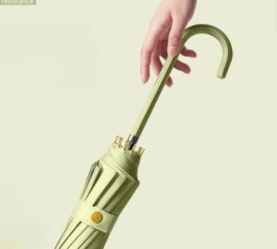 China Long Handle Men's and Women's Umbrella 16k Straight Rod Bent Hook Automatic for Adults for sale