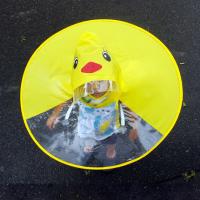 China Custom Logo Printing Kids Raincoat Transparent Waterproof Poncho for Conventional Size for sale