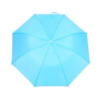 China Market Promotion 2 Fold Windproof and Rainproof Custom Logo Sun Protection Umbrella for sale