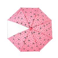 China Umbrella for Kids at Kindergarten Metal Frame Cartoon Design Sun and Rain Protection for sale