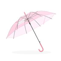 China Simple and Stylish Transparent Umbrella for Female Students PVC Panel Fiberglass Frame for sale