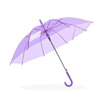 China Simple and Stylish Transparent Umbrella for Female Students PVC Panel Fiberglass Frame for sale