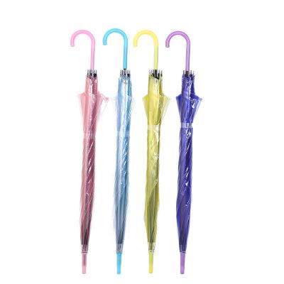 China Plastic Creative Small Fresh Long Handle Transparent Umbrella with Auto Open Function for sale