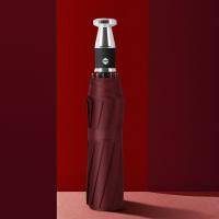China X308 Windproof Strong Frame Umbrella Waterproof and Automatic Folding for Rainy Days for sale