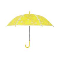 China Transparent Frosted Eight-Bone Umbrella Long Handle Straight Automatic Design for Kids for sale