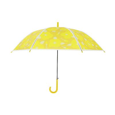 China Transparent Frosted Eight-Bone Umbrella Long Handle Straight Automatic Design for Kids for sale