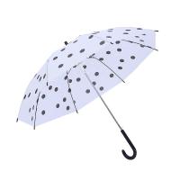 China Transparent Frosted Eight-Bone Umbrella Long Handle Straight Automatic Design for Kids for sale