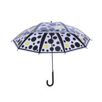 China Transparent Frosted Eight-Bone Umbrella Long Handle Straight Automatic Design for Kids for sale