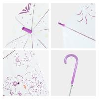 China Transparent Frosted Eight-Bone Umbrella Long Handle Straight Automatic Design for Kids for sale