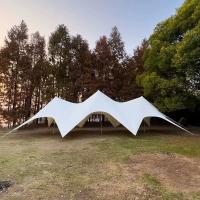 China Get the Ultimate Camping Companion Twin Peaks Canopy Hump with Not Coated Oxford Sail for sale