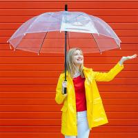 China Metal Frame Automatic Long Handle POE Umbrella for Clear and Transparent Rain Coverage for sale